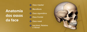 Anatomia da face: o guia completo para dentistas