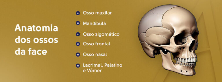 Anatomia da face: o guia completo para dentistas