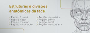 Anatomia da face: o guia completo para dentistas